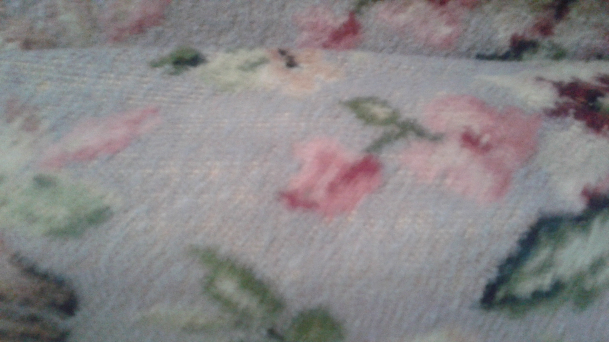 Free Antique, Collectible, and Art Appraisals Online | Submit Your Item ...